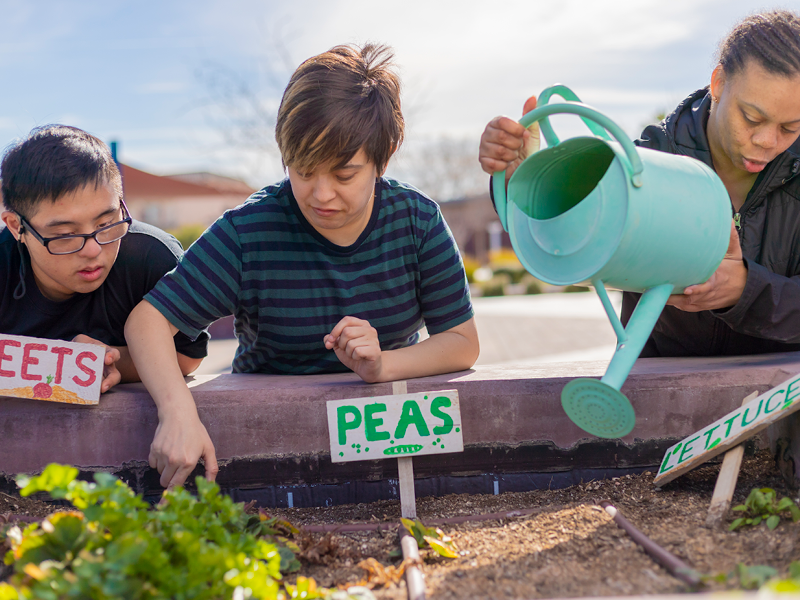 Our Garden Club | Brooklyn Public Library