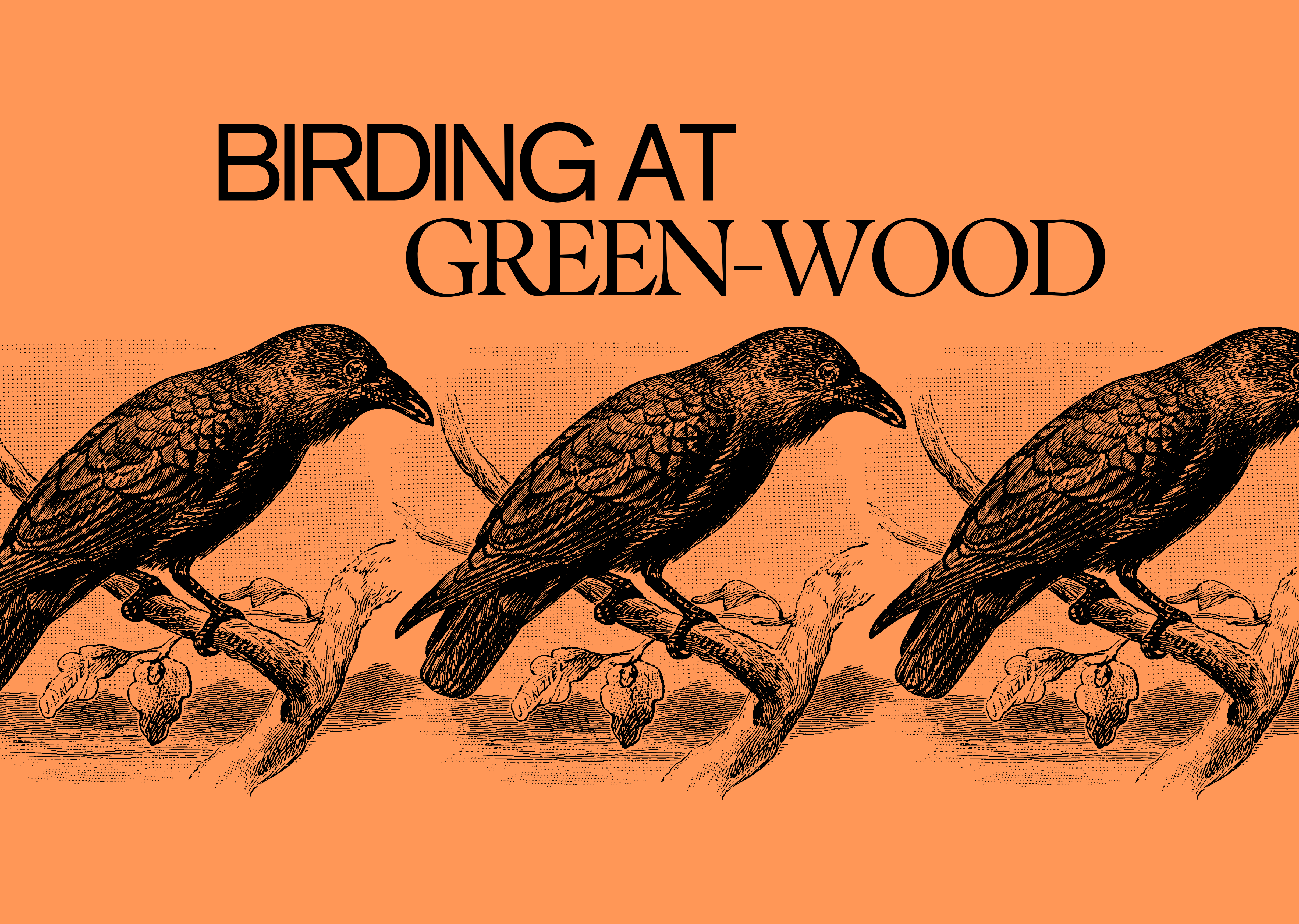 Birding at Green-Wood | Brooklyn Public Library