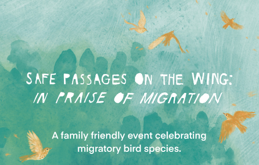 "Safe Passages on the Wing: In Praise of Migration" (Storytime ...
