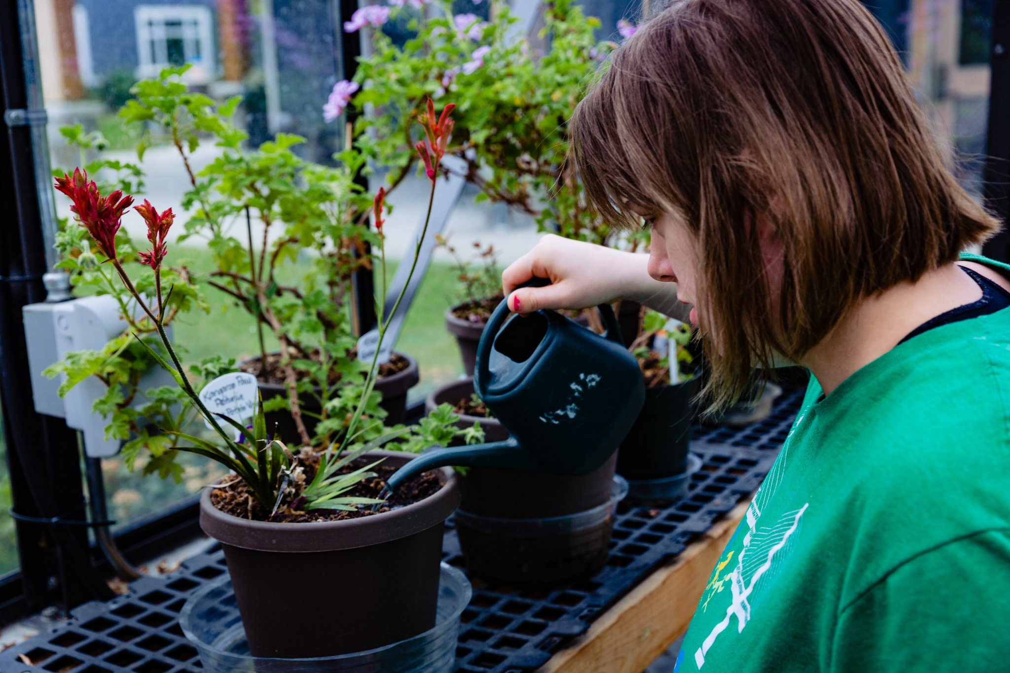Accessible Gardening Hour | Brooklyn Public Library