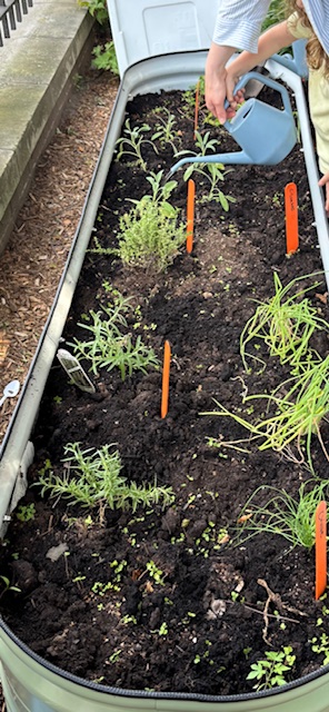 DeKalb Library Garden Opening and Celebration | Brooklyn Public Library