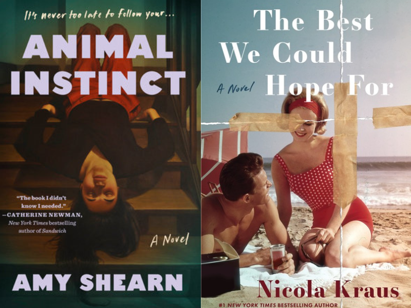 Nicola Kraus and Amy Shearn Discuss The Best We Could Hope For & Animal ...