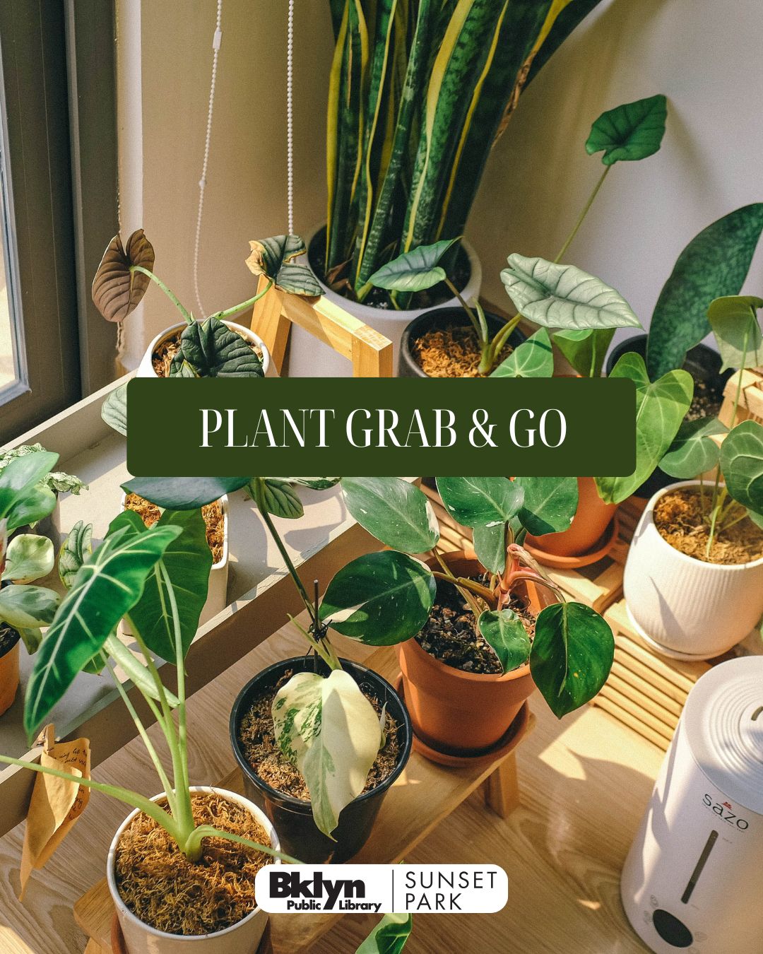 Plant Grab & Go | Brooklyn Public Library