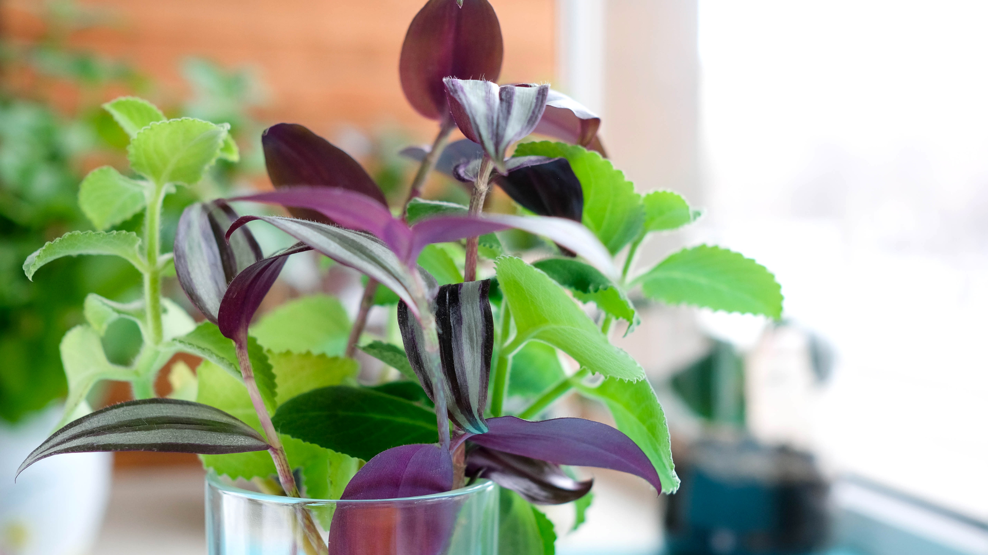 Let's Get Gardening! Branches in Bloom (Club)-JARDINERIA | Brooklyn ...