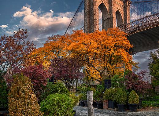 Fort Hamilton Library | Brooklyn Public Library