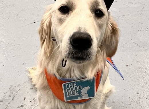 Crown Heights Library | Brooklyn Public Library