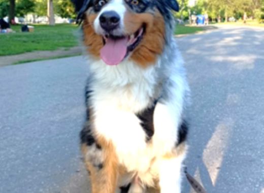 Clinton Hill Library | Brooklyn Public Library
