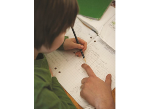 Homework Help | Brooklyn Public Library