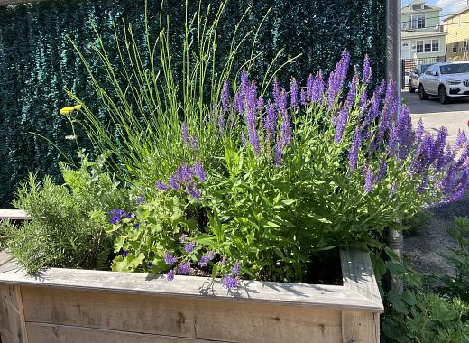 Gravesend Library | Brooklyn Public Library