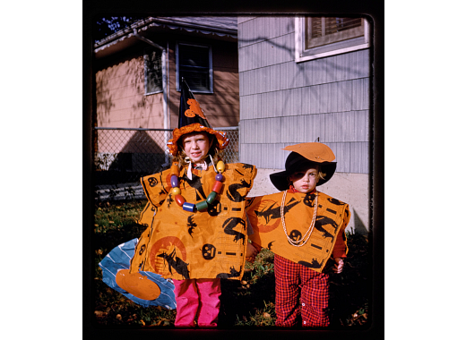 Brooklynology | Brooklyn Public Library