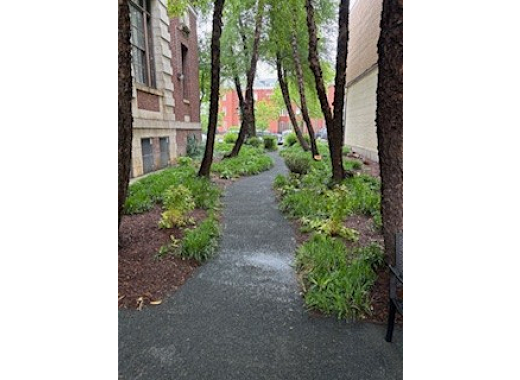 DeKalb Library | Brooklyn Public Library